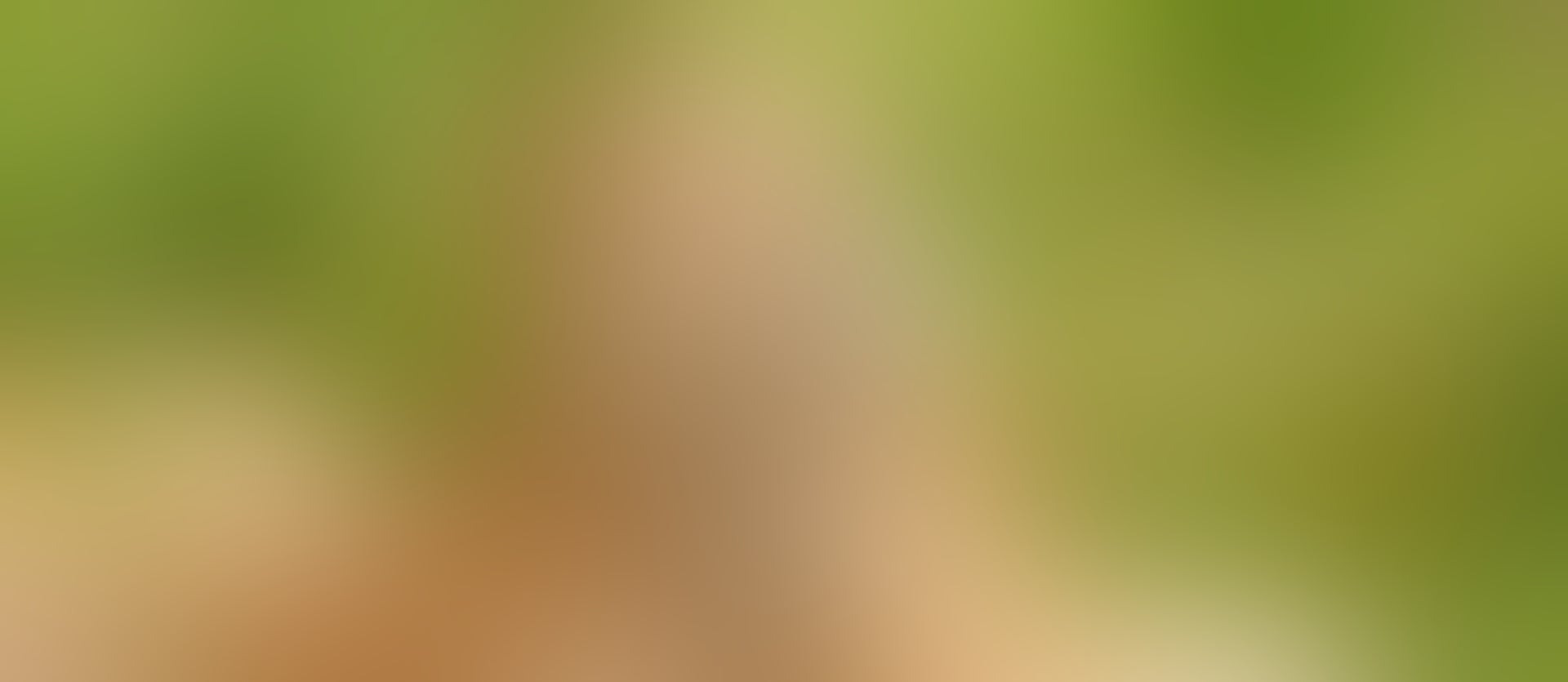 Mozambique Tours: Magical Maputo & Paradise in Machangulo - Exoticca